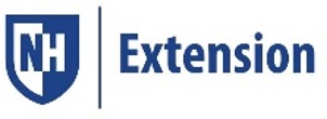 Home - New Hampshire Digital Opportunity